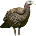 Avian-X Breeder Lifelike Collapsible Decoy LCD Folding Hen Turkey ...