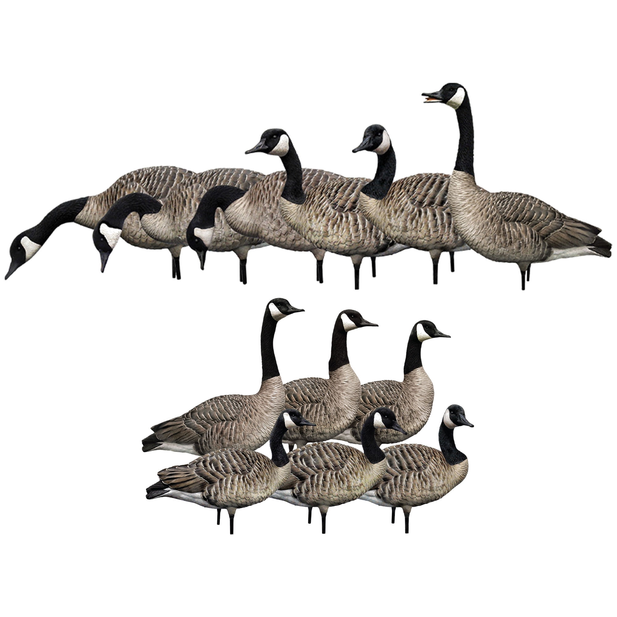 Avian X Honkers Full Body Decoys + Honker Sentry Walker Pack - Walmart.com