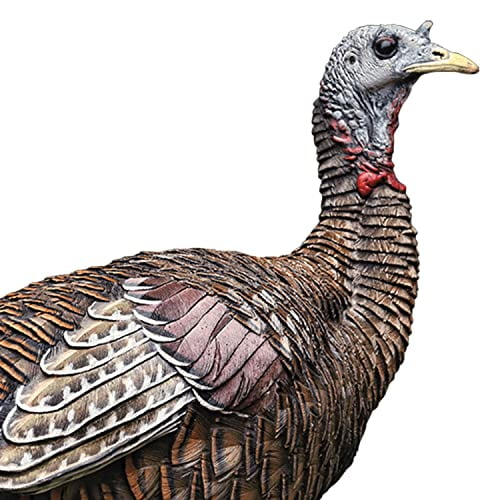 Avian X LCD Lookout Hen Lifelike Collapsible Turkey Gobbler Hunting ...