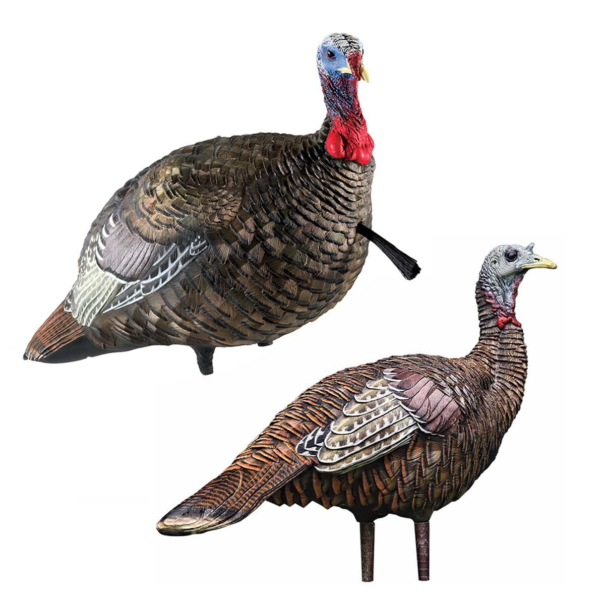 Avian-X LCD Quarter Strut Jake and Lookout Hen Decoy Combo - Walmart.com