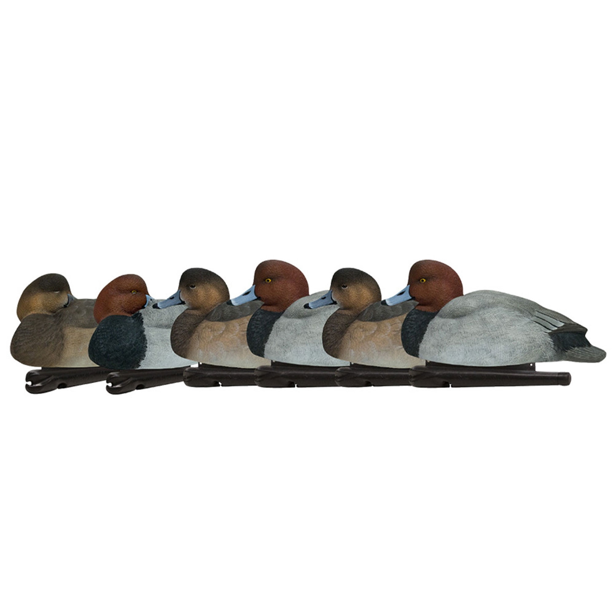 Avian X Magnum Canvasback Decoys, Open Water, Realistic Design ...