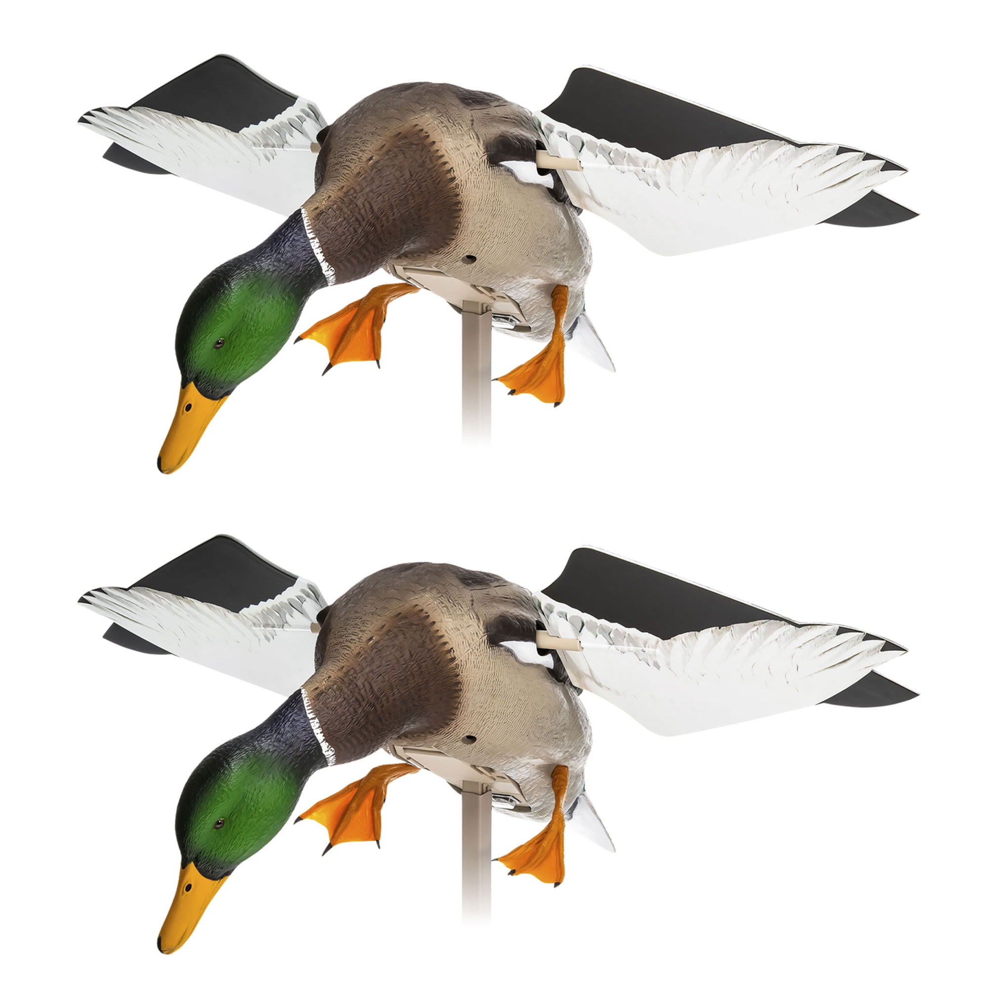 Avian X PowerFlight Smart Motion Mallard Spinning Realistic Decoy, 2 ...