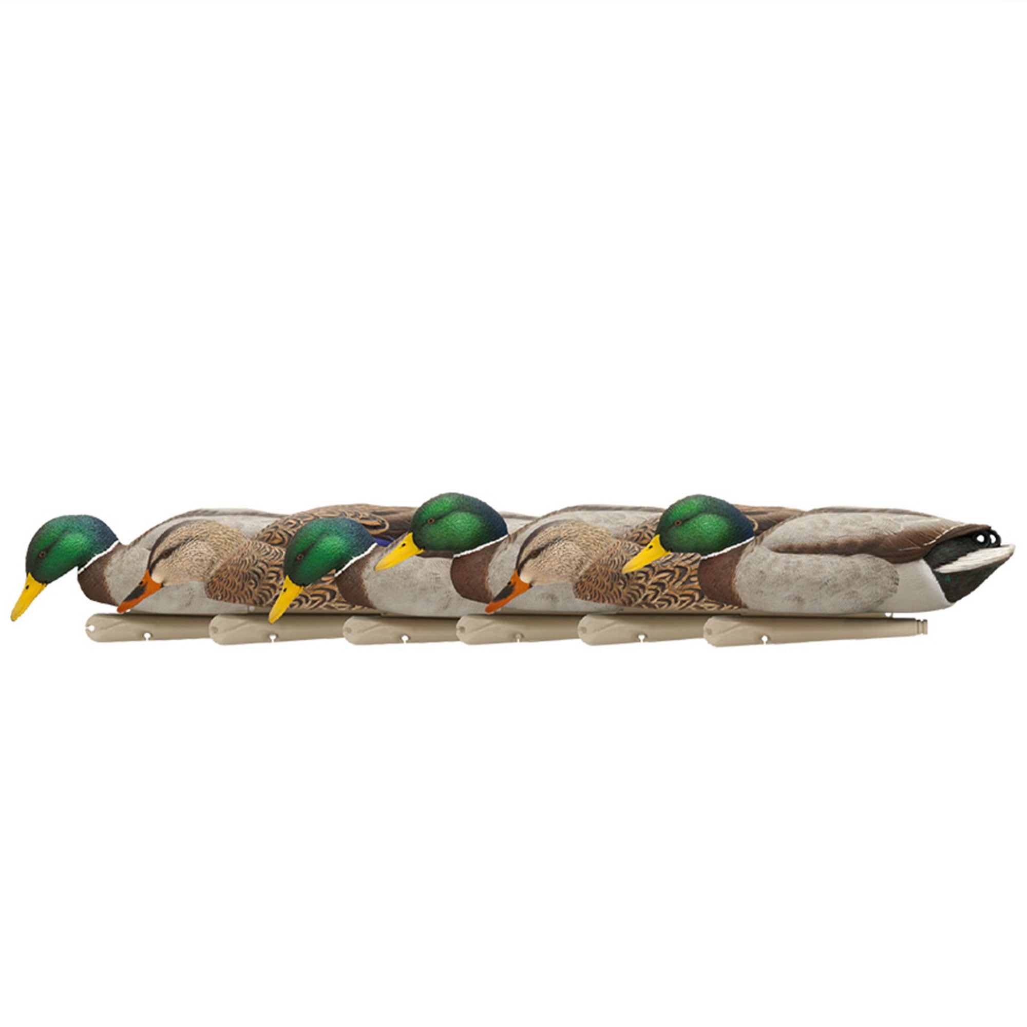 Avian X Top Flight Back Water Mallards, 8070 - Walmart.com