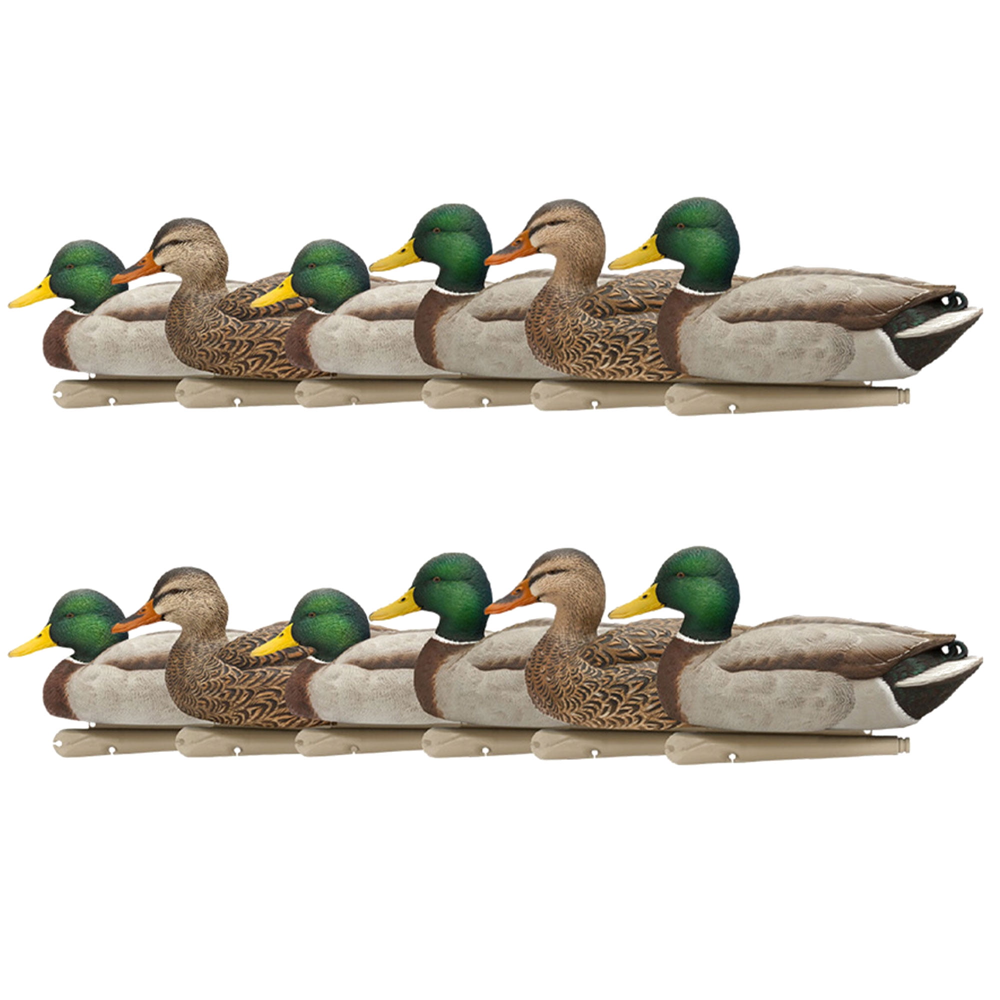 Avian X Top Flight Open Water Mallards Decoys, Ultra Realistic, 12 Pack ...