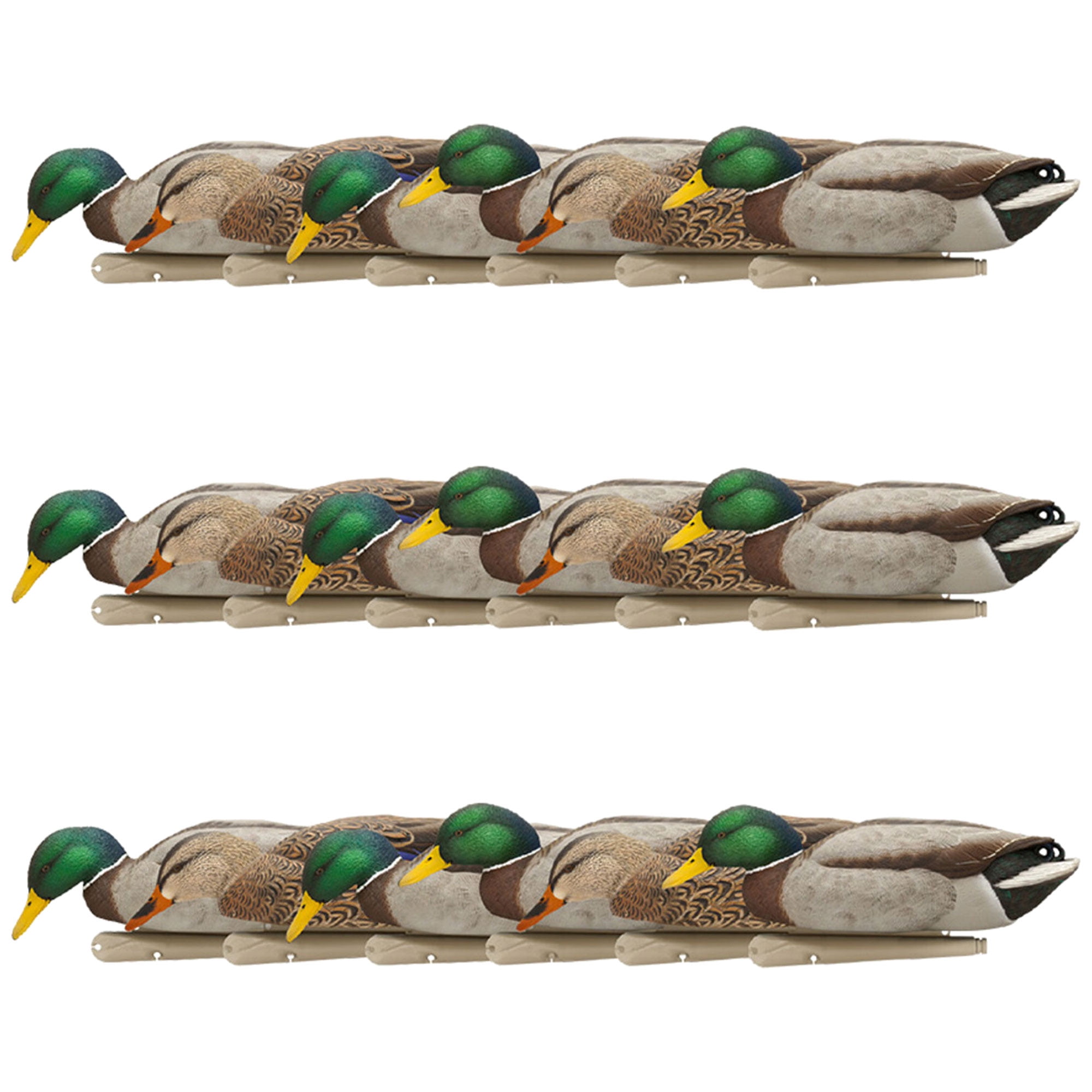 Avian X Topflight Backwater Mallards Decoys, Realistic Floating, 18 ...