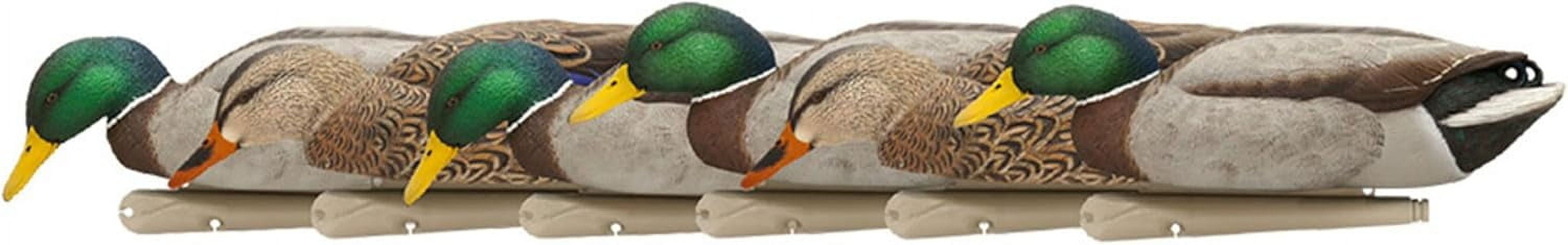 Avian X Topflight Backwater Mallards Duck Decoys Pack, Ultra Realistic ...