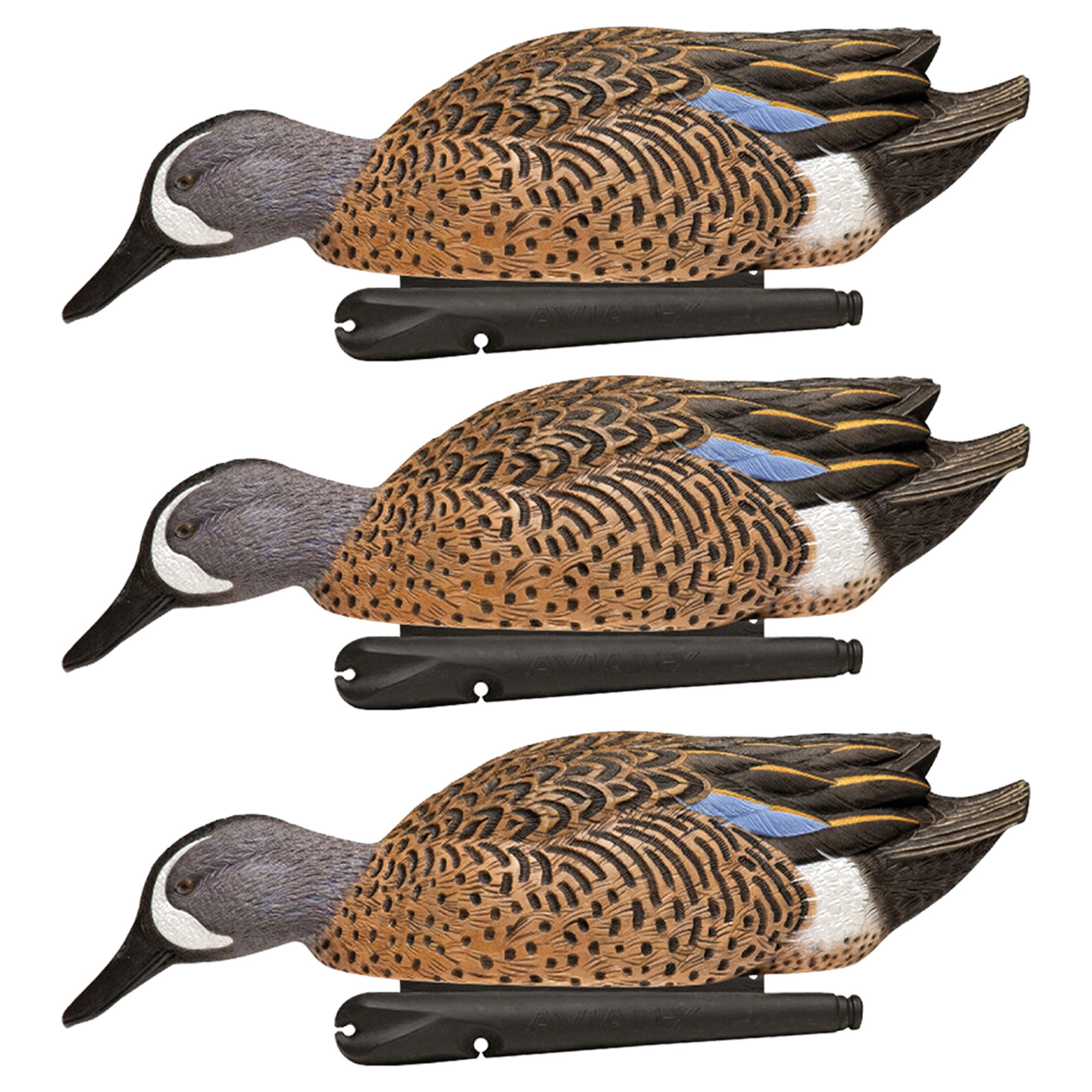 Avian X Topflight Blue-Winged Teal Duck, Realistic Duck Decoy, Set of 3 ...
