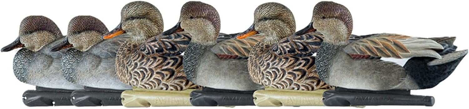 Avian X Topflight Gadwall Decoys Perfectly Replicated Late Season Gray ...