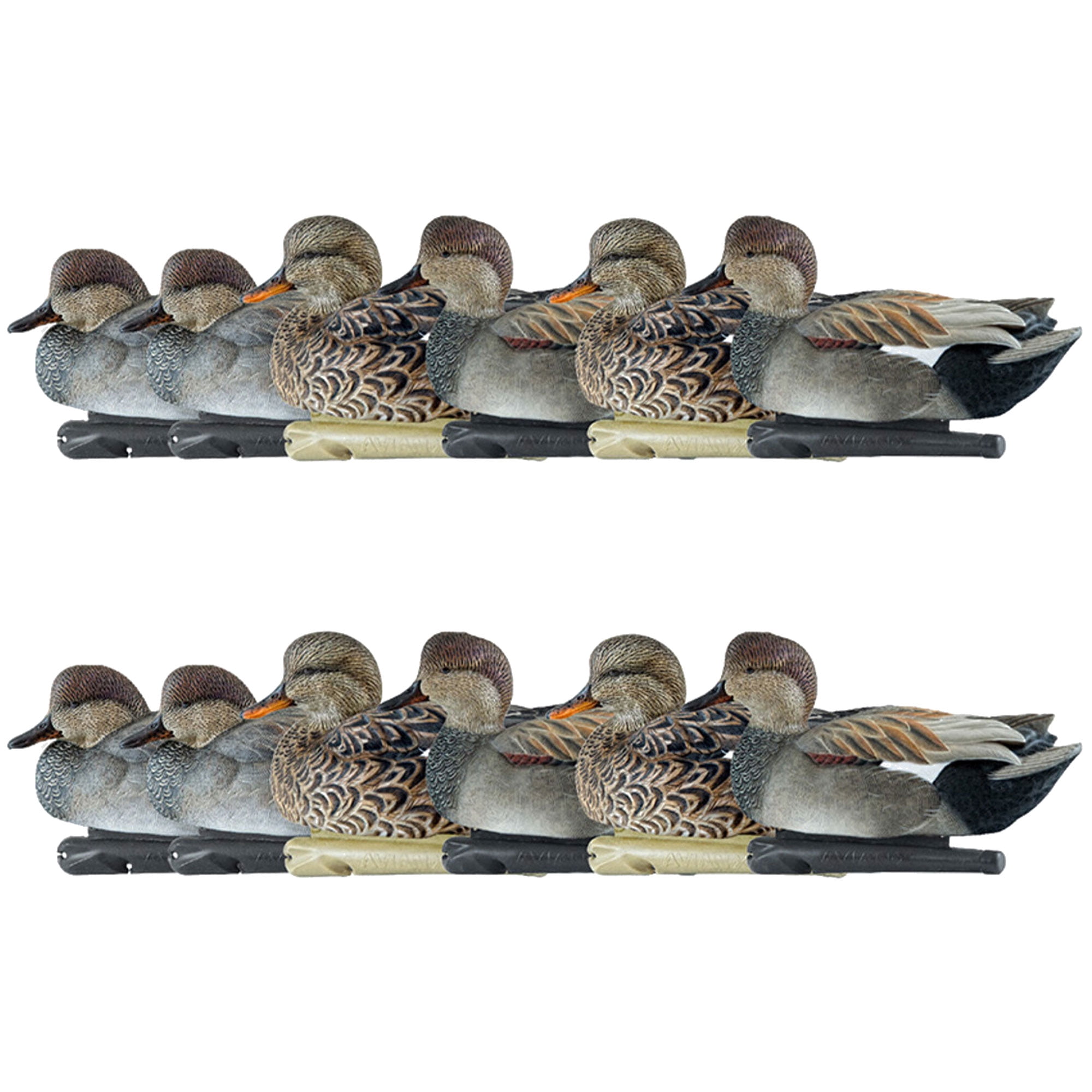 Avian X Topflight Gadwall Decoys Realistic Gray Duck, Set of 12 ...