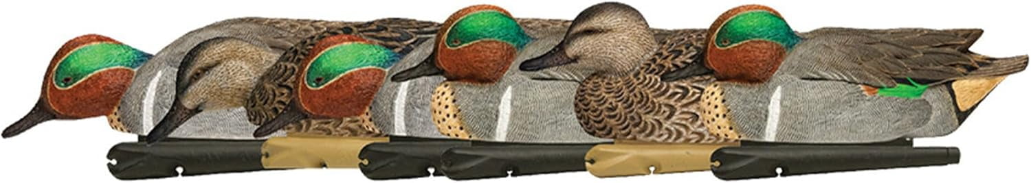 Avian X Topflight Green-Winged Teal Decoys, Realistic Floating Duck ...