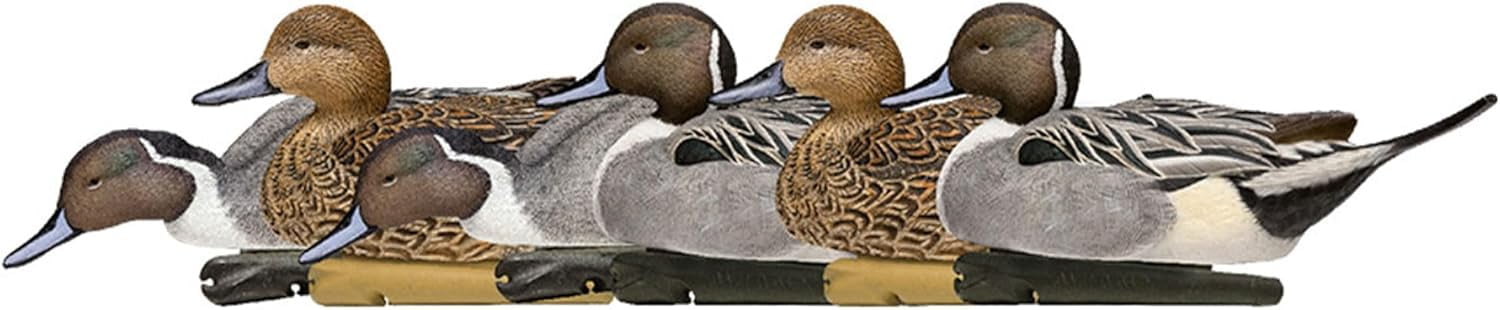 Avian X Topflight Pintail Decoys, Rugged Realistic Floating Duck Decoys ...