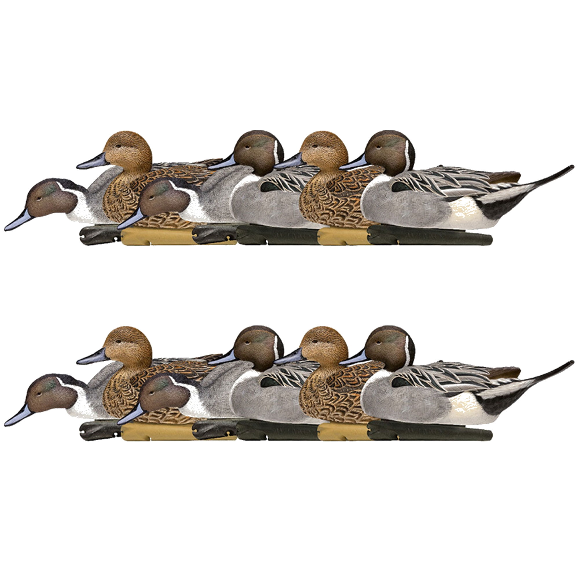 Avian X Topflight Pintails, Realistic Floating Decoys, Set of 12 ...