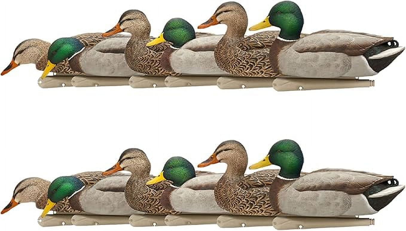 Avian X Topflight Realistic Floating Rugged Fusion Mallard Decoy, 12 ...