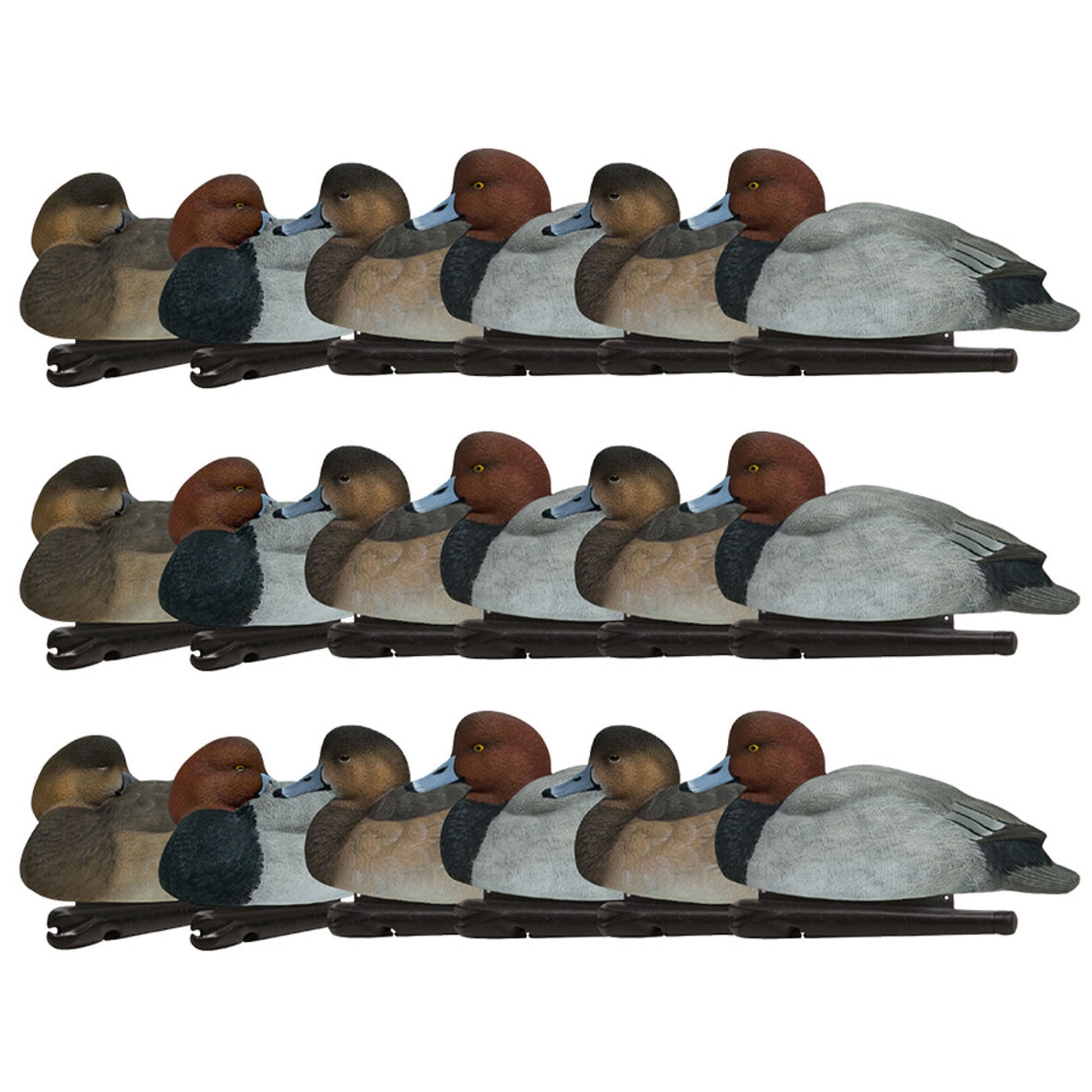 Avian X Topflight Redheads Decoys, Open Water, Realistic Design, 18 ...