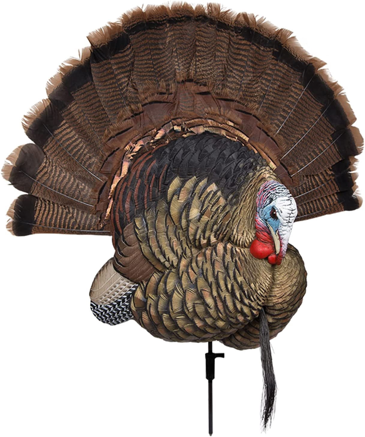 Avian-X Trophy Tom Turkey Decoy Wall Display Collapsible Standing ...
