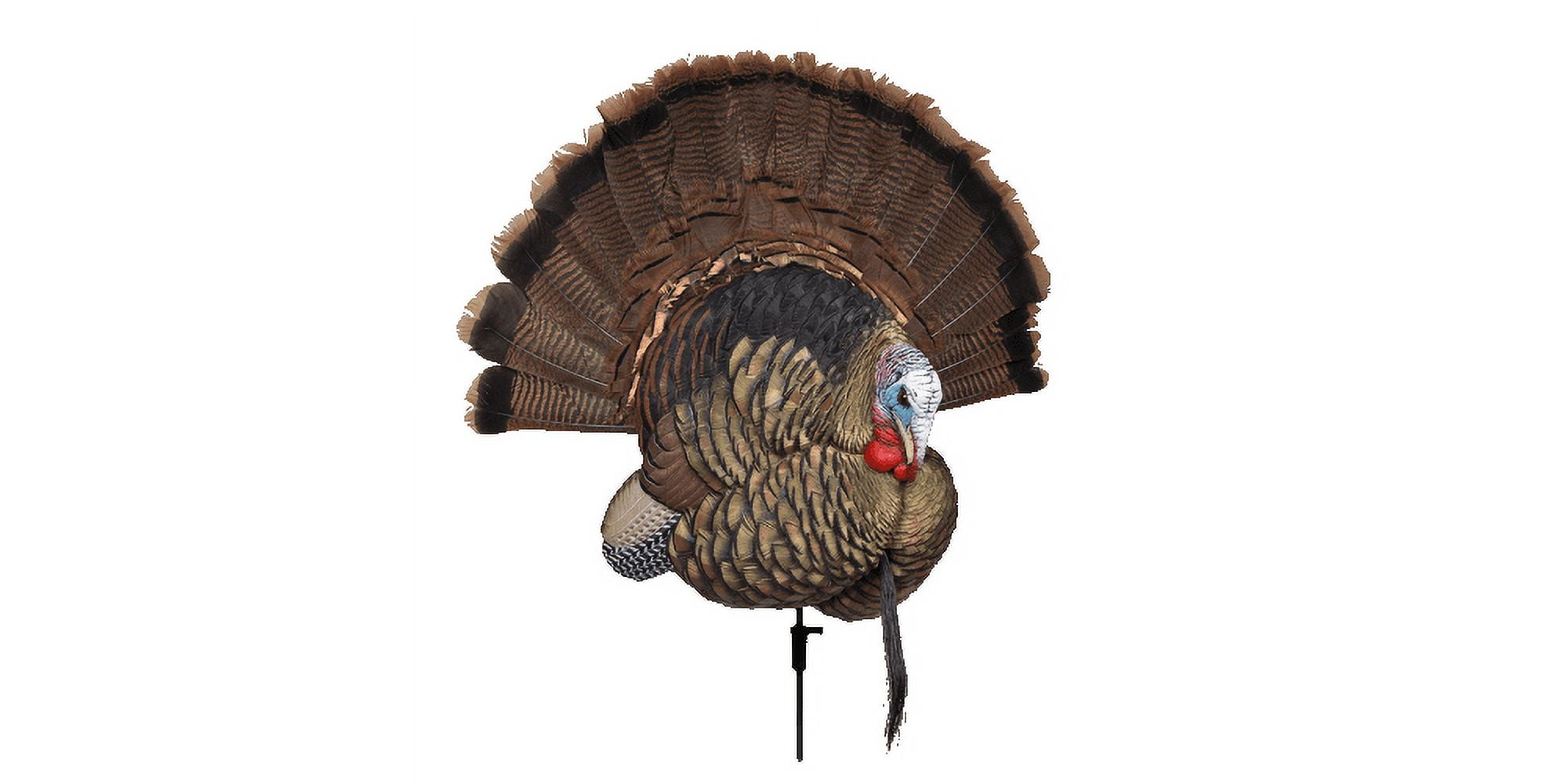 Avian-X Hunting Trophy Tom Turkey Decoy Wall Display with Clip and Bag ...