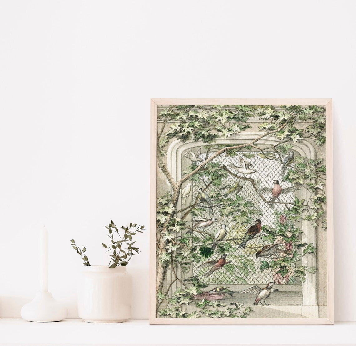 Aviary With Fourteen Birds Poster, Aert Schouman, Bird Poster, Antique Animal, Vintage Poster ...