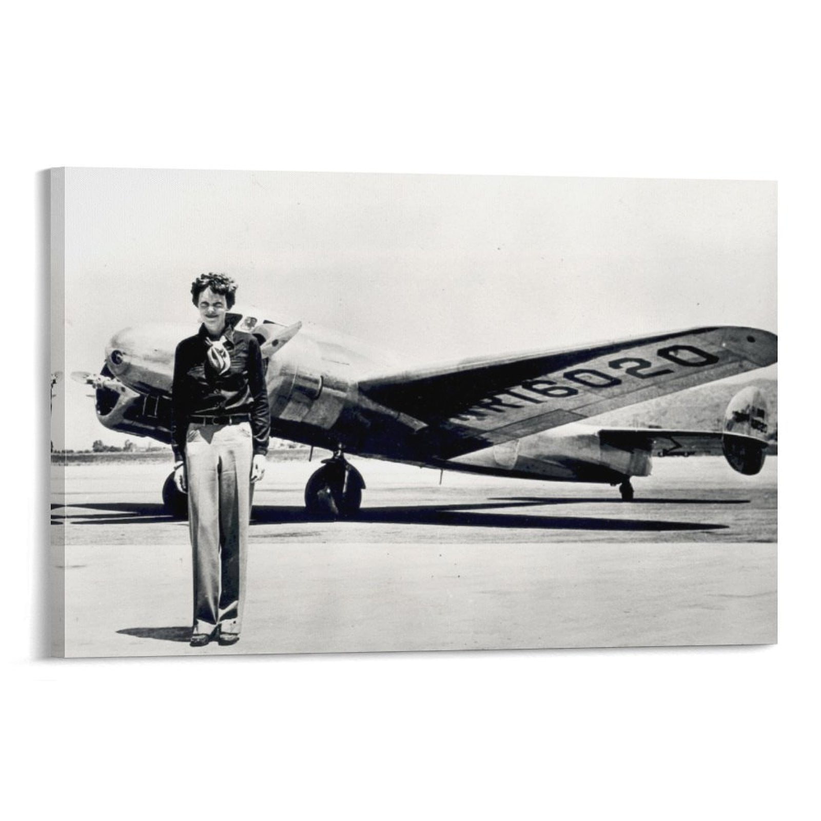 Aviators from Kansas Amelia Earhart Poster Posters Wall Art Painting ...