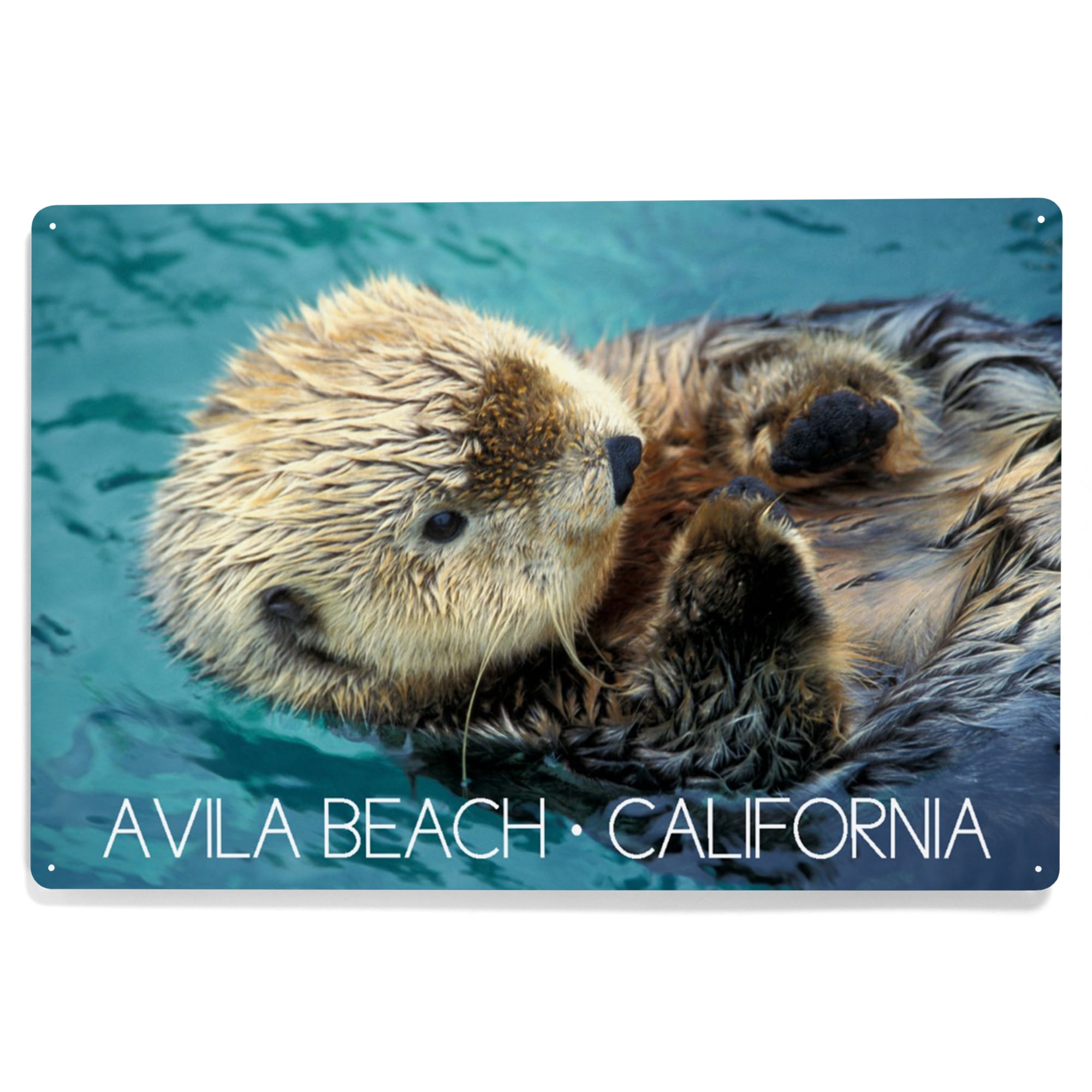 Avila Beach, California, Sea Otter (12x18 Aluminum Art, Indoor Outdoor ...
