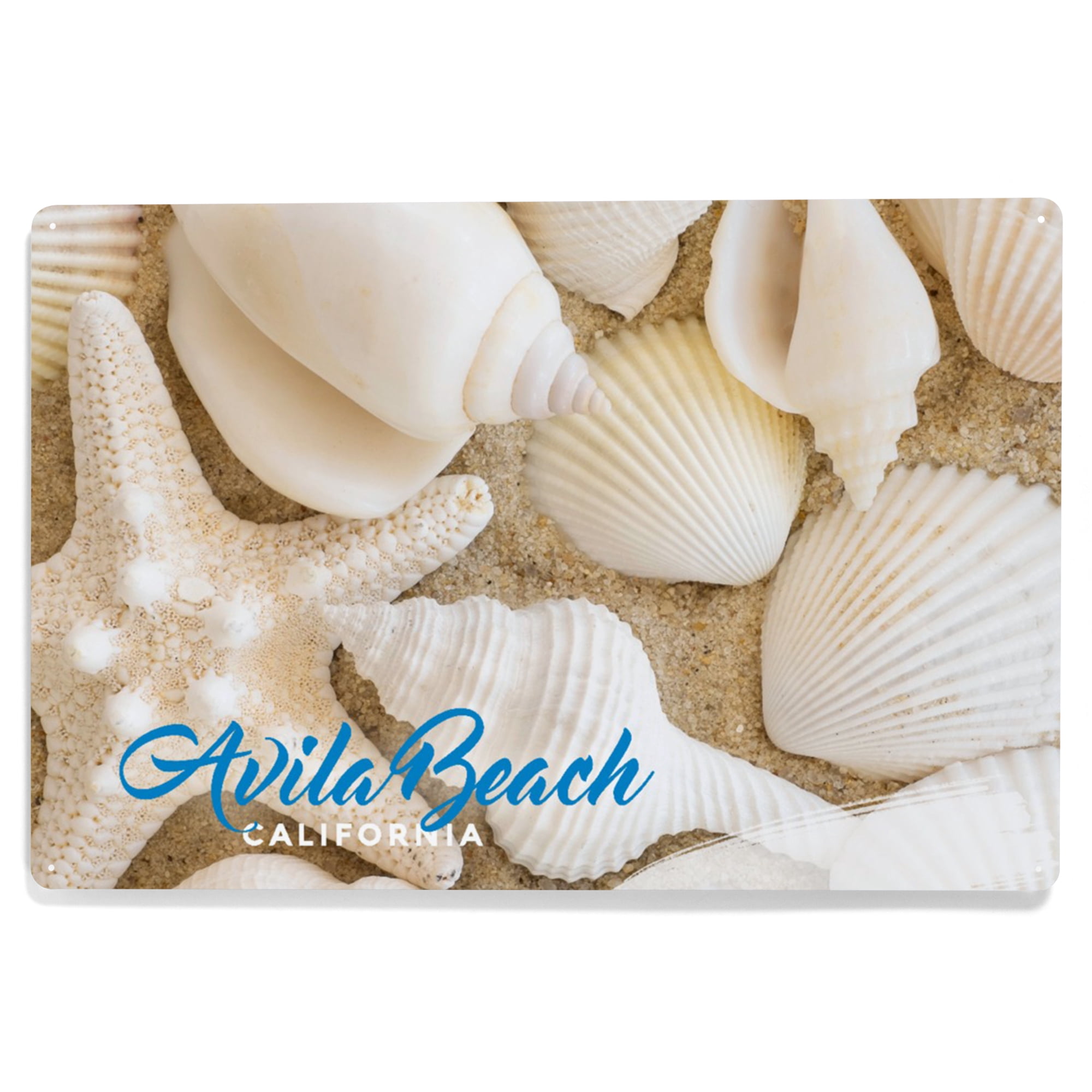 Avila Beach, California, Seashells (12x18 Aluminum Art, Indoor Outdoor ...