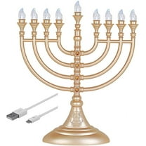 Traditional Hanukkah Electric Menorah Low Voltage Hanukkiah with LED ...