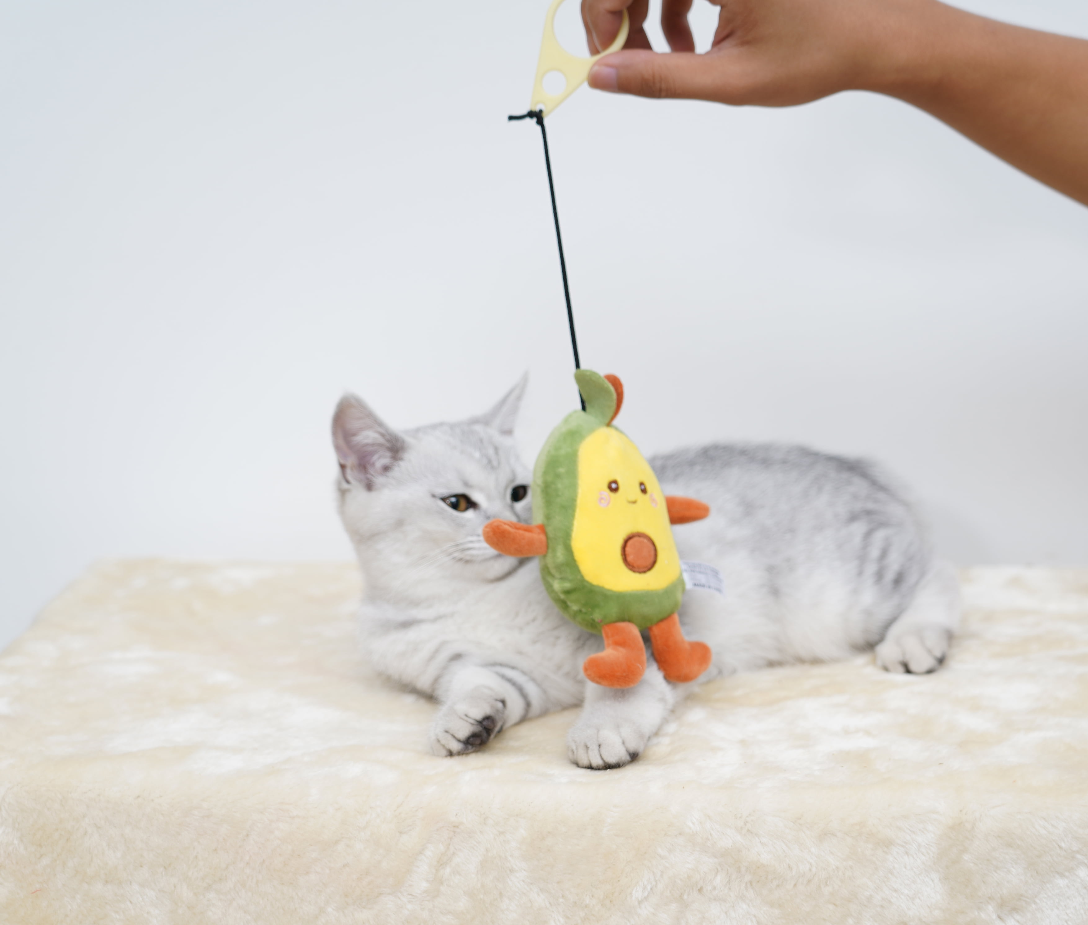 Avocado Bud Interactive Cat Toys - Walmart.com