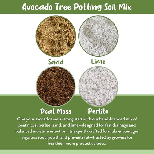 Avocado Tree Potting Soil Mix (12 Quarts), for Germinating, Growing and ...