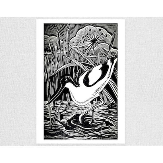Avocet A4 Hand Printed Original Signed Linocut Poster In Black Or Blues ...
