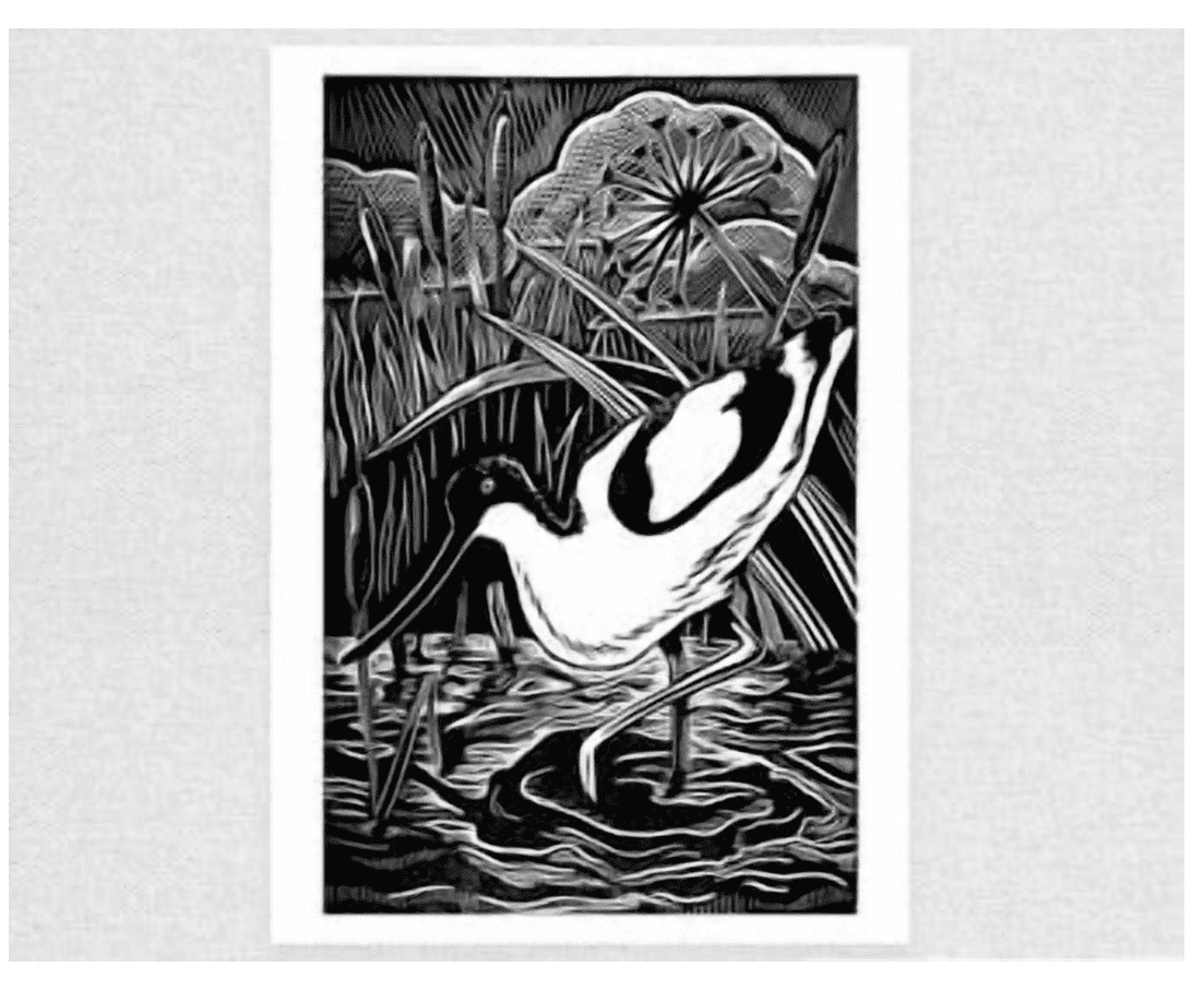 Avocet Hand Printed Original Signed Linocut Poster In Black Or Blues ...