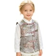Avolia Girls Boys Traditional Chinese Tang Vest Sleeveless Pullover Top ...
