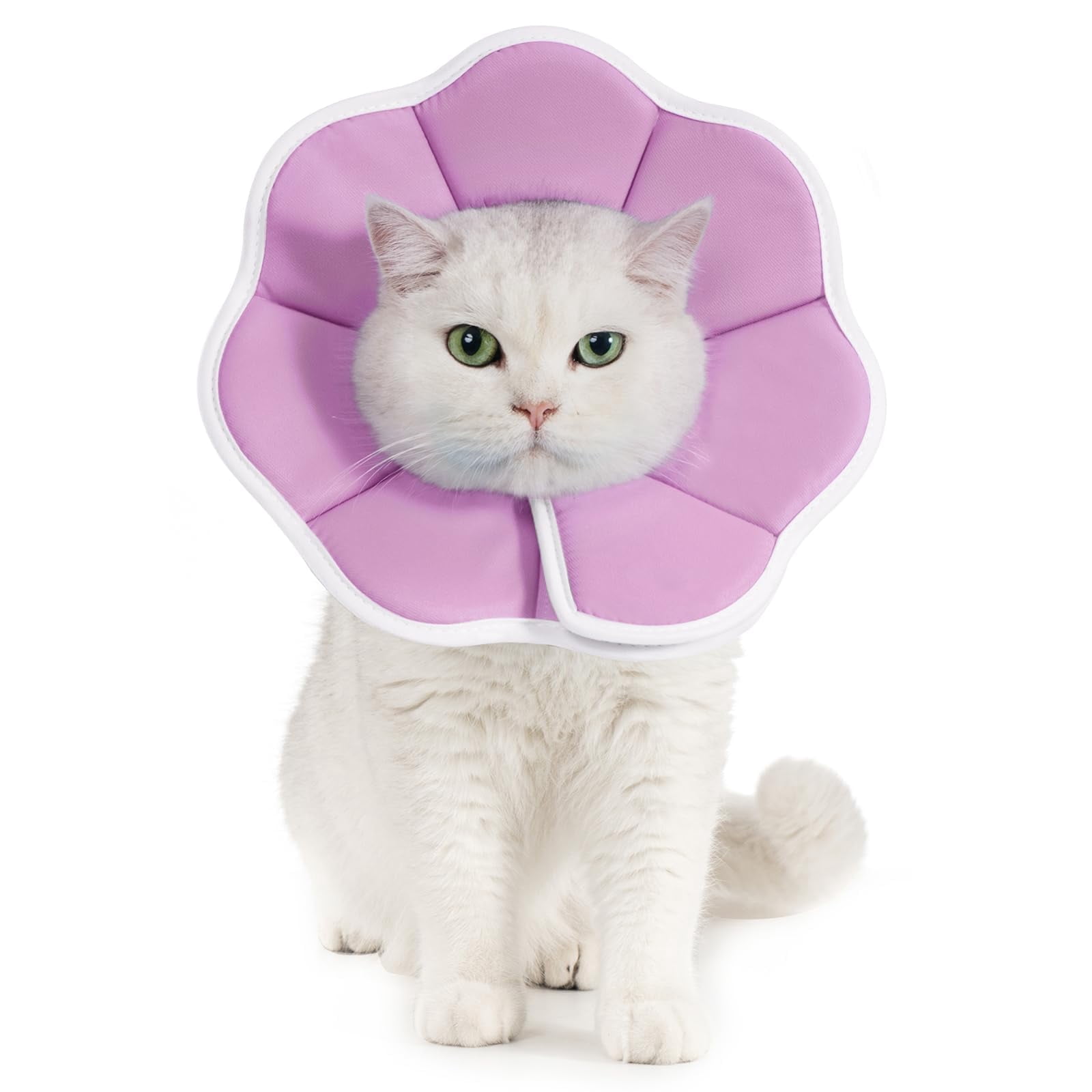 Avont Soft Cat Recovery Cone Collar, Adjustable Lightweight Kitten E ...