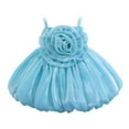 Avrntaa Baby Girls Glitter Princess Dress Rose Flower Spaghetti Strap ...