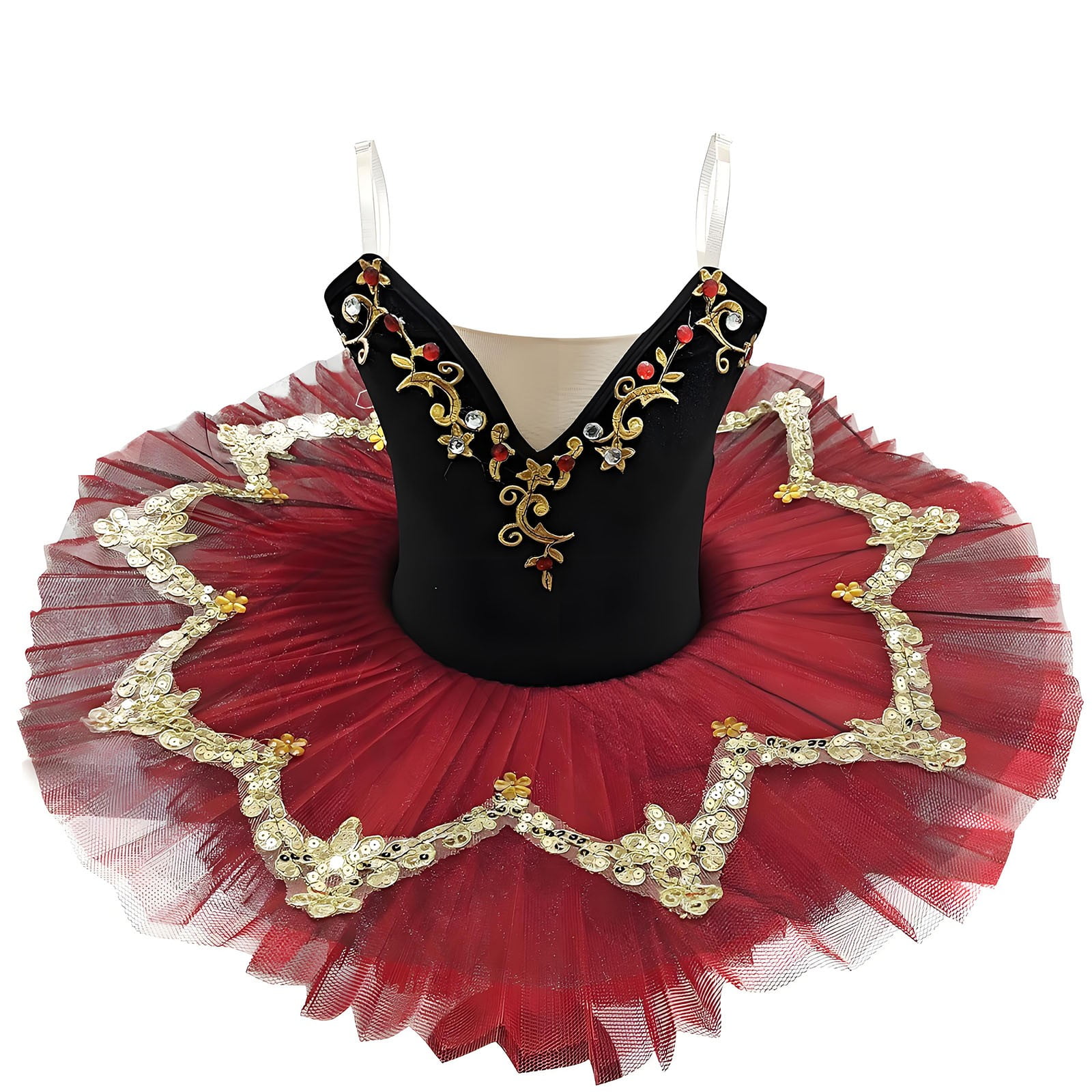 Avrntaa Girls Ballet Princess Dress Lace Pleated Tutu Costume for Dance ...