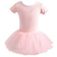 Avrntaa Little Girls Ballet Leotards Dance Dresses with Tutu Skirt Tutu ...