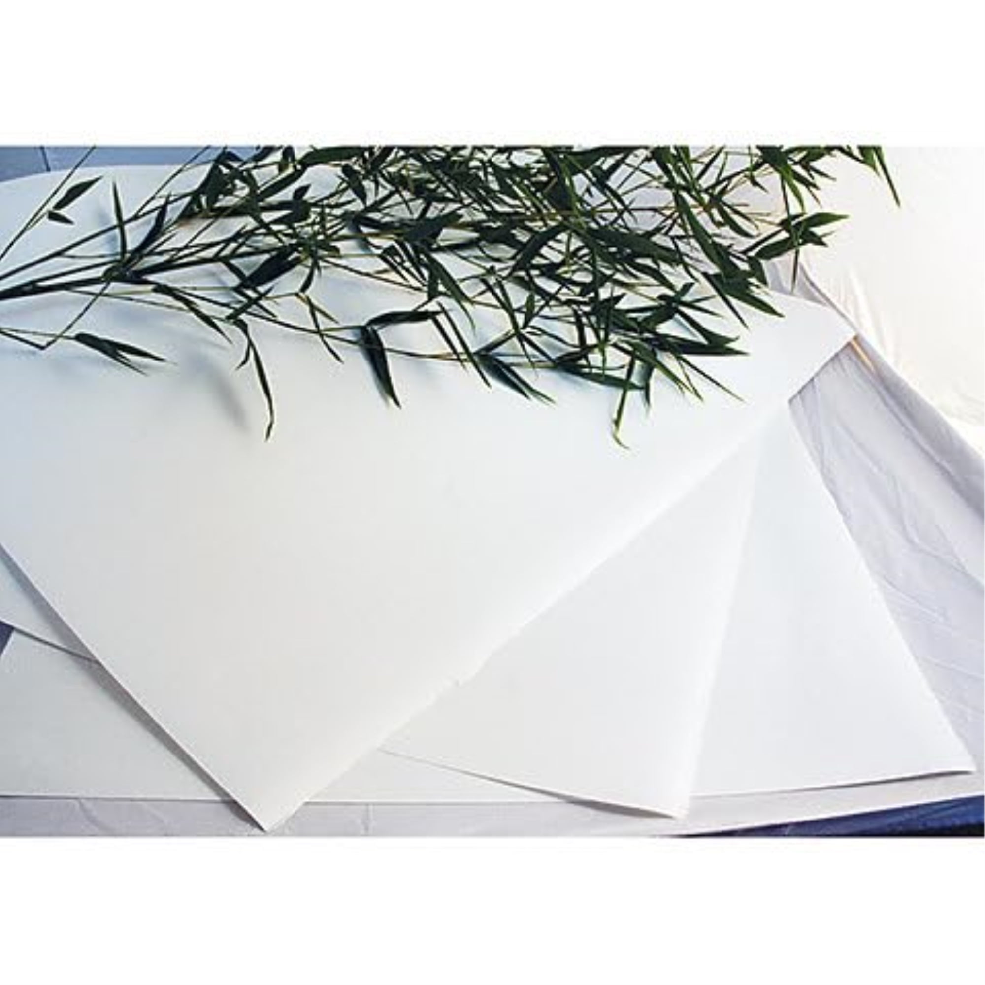 Awagami Bamboo Select Paper - Single Sheet - Walmart.com