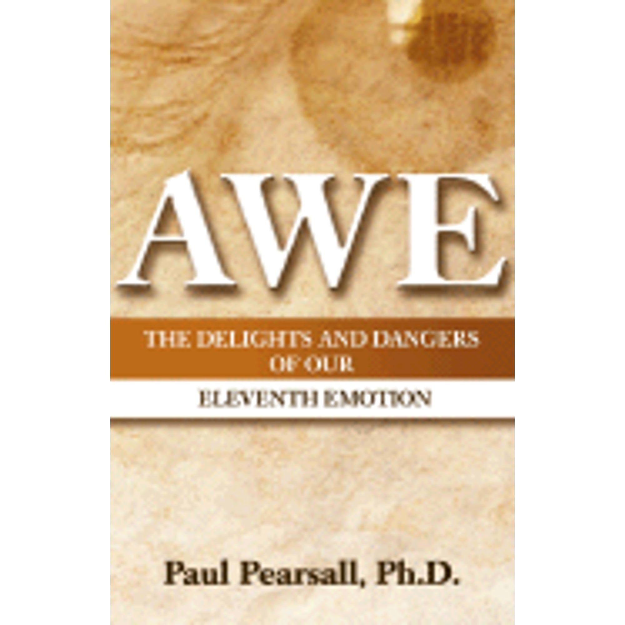 Pre-Owned Awe: The Delights and Dangers of Our Eleventh Emotion ...