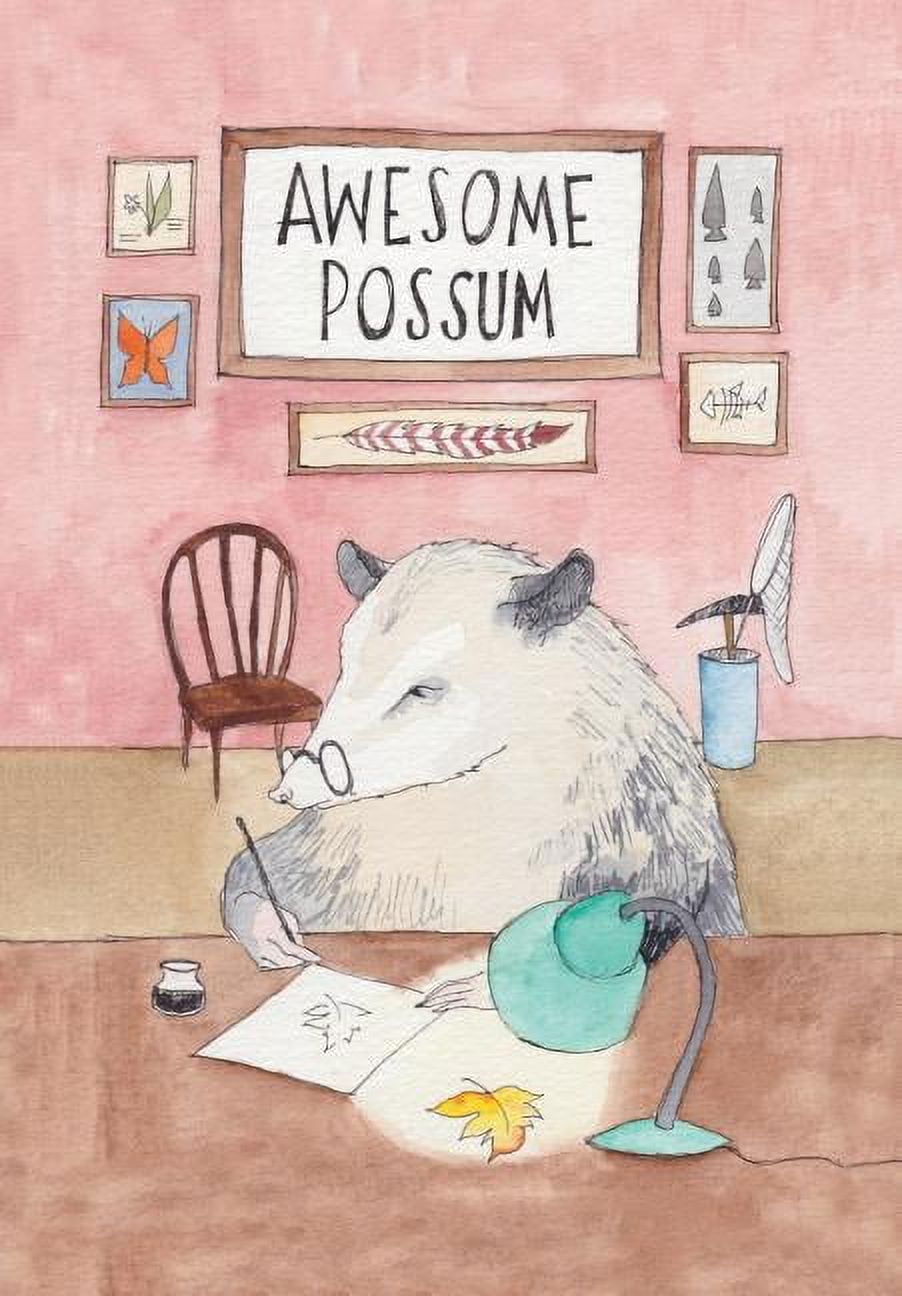 Awesome 'Possum, Volume 1 (Paperback) - Walmart.com