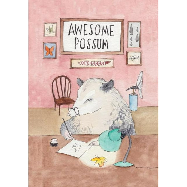 Awesome 'Possum, Volume 1 (Paperback) - Walmart.com