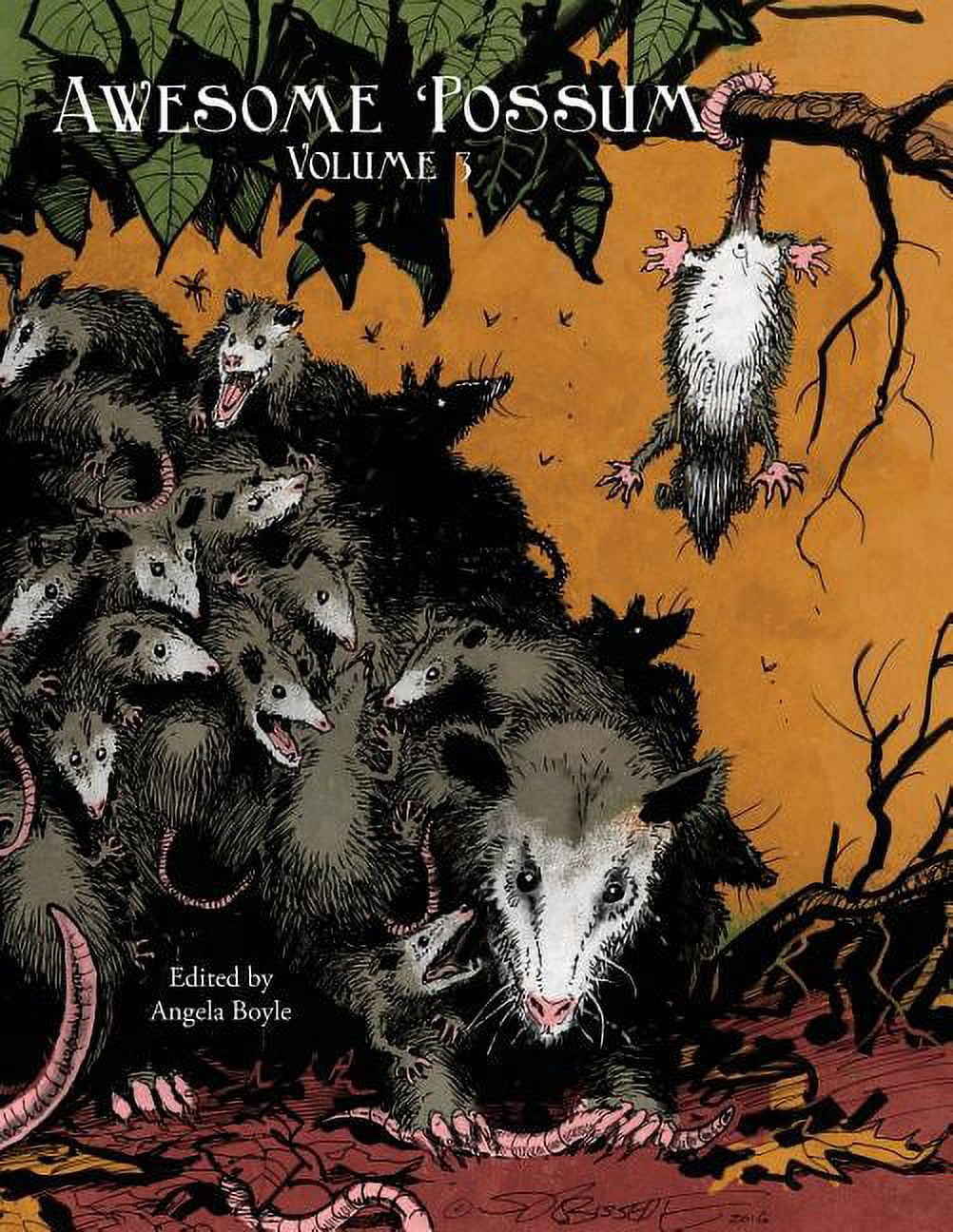 Awesome 'Possum, Volume 3 (Paperback) - Walmart.com