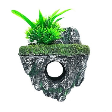 SeeShelter Brand Betta Tunnel in Translucent Clear Fish Hide Enrichment ...