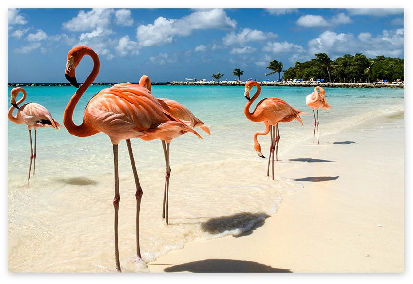 Awkward Styles Beautiful Flamingo Picture Original Room Wall Art Girls ...