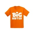 Awkward Styles Big Sister Youth Shirt Lovely T Shirts for Girls Cute ...