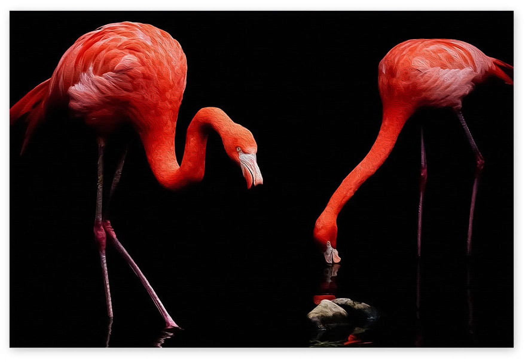 Awkward Styles Cute Room Decorations Beautiful Flamingo Picture Girls ...