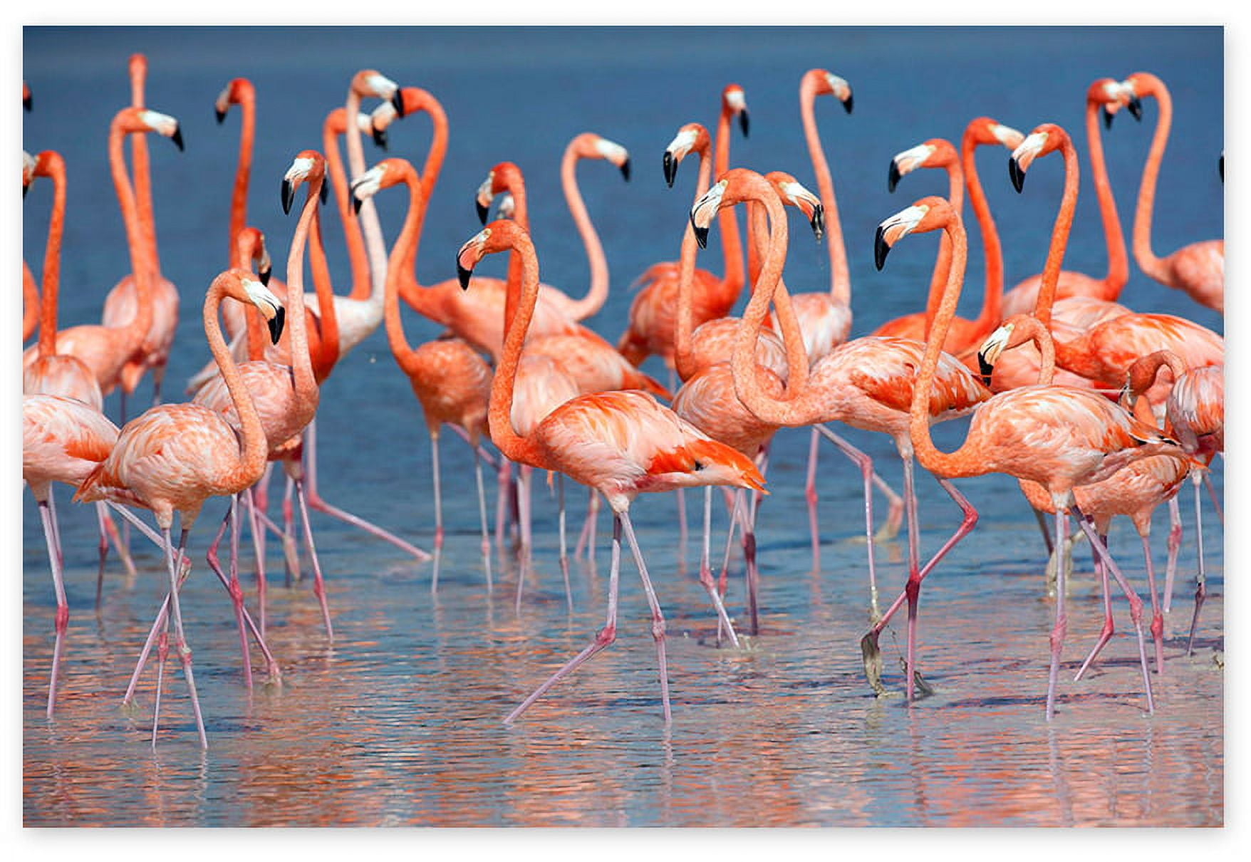 Awkward Styles Flamingo Printed Wall Decor Flamingo Poster Decor Ideas ...