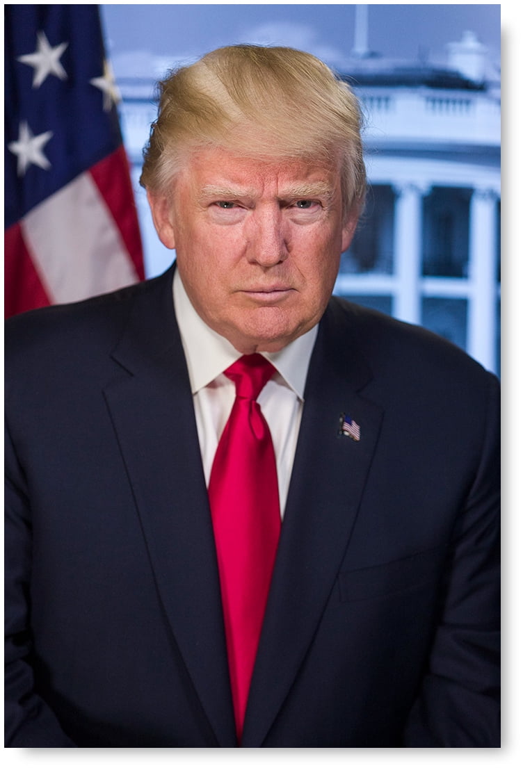 Awkward Styles Trump Unframed Poster Print Art Trump Printed Decor for ...