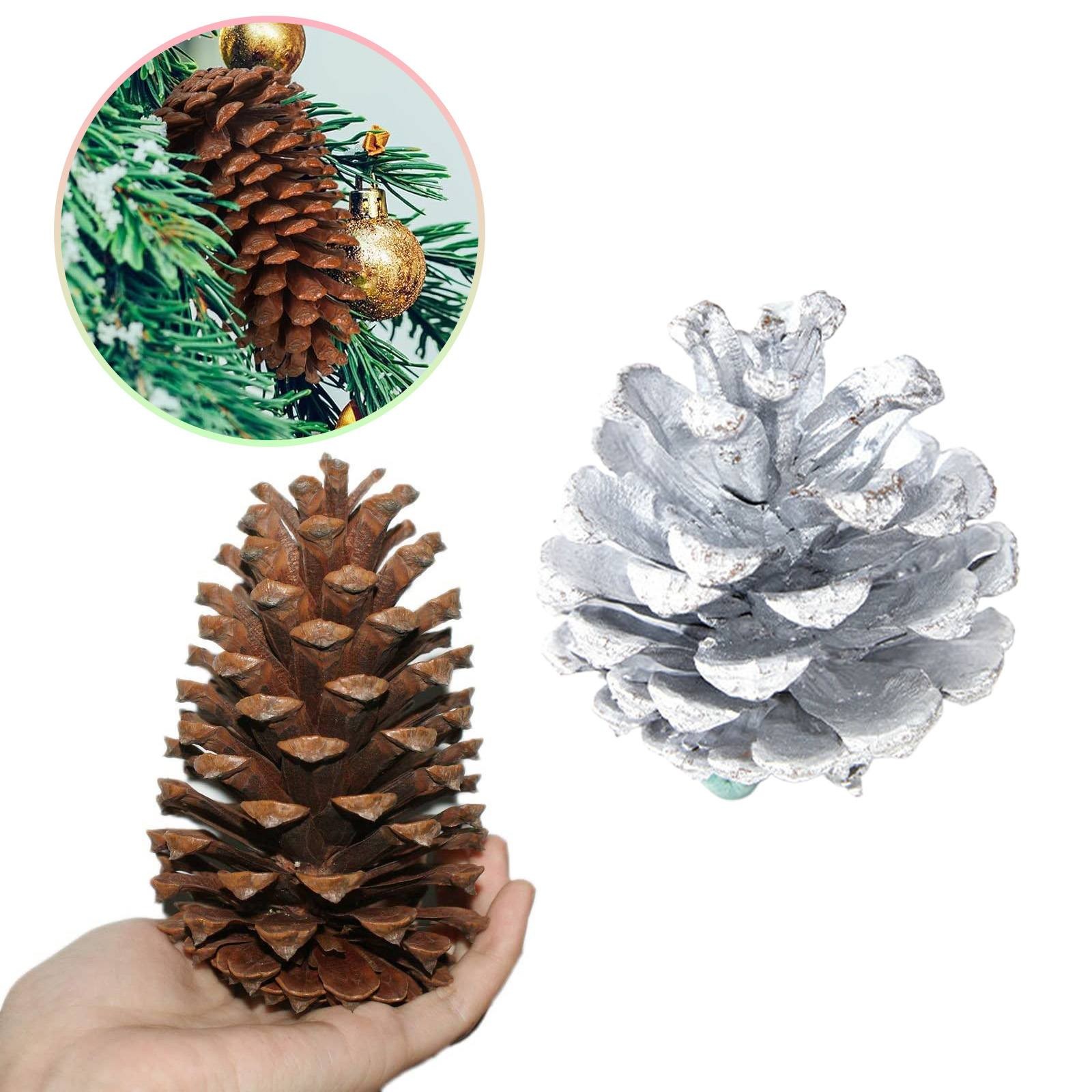 Awwp 1 Pcs Natural! Pine Cones Christmas Decorations, DIY Wreath and ...