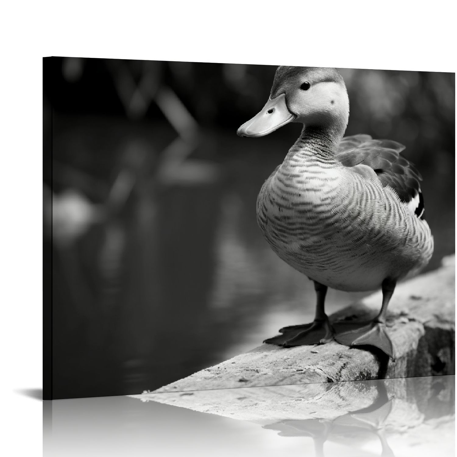 Awypu Canvas Wall Art Wall Decor Abstract Little Duck Painting Modern ...