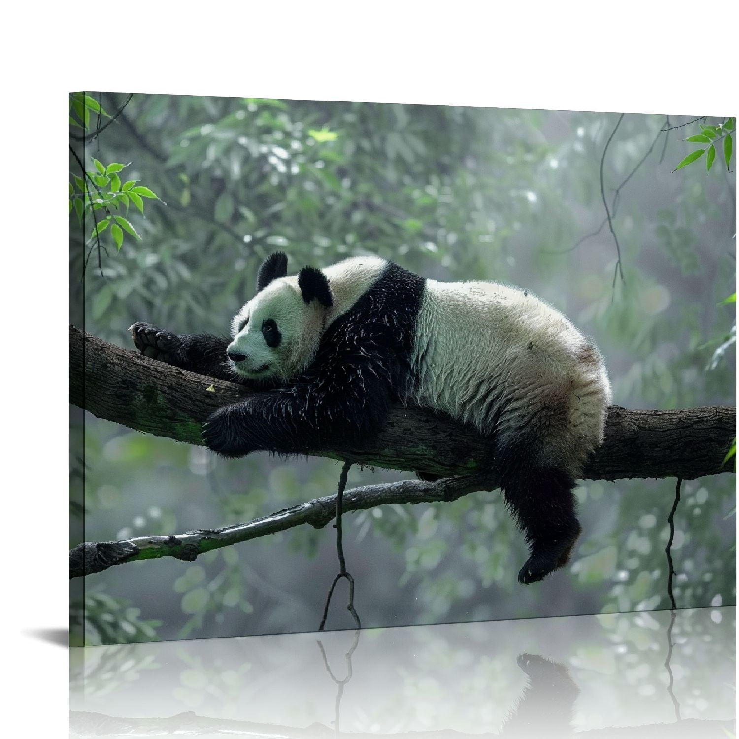 Awypu Cute Panda Canvas Wall art: Wall Decor Animals Themed for Kids ...