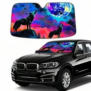 Painting Car Windows