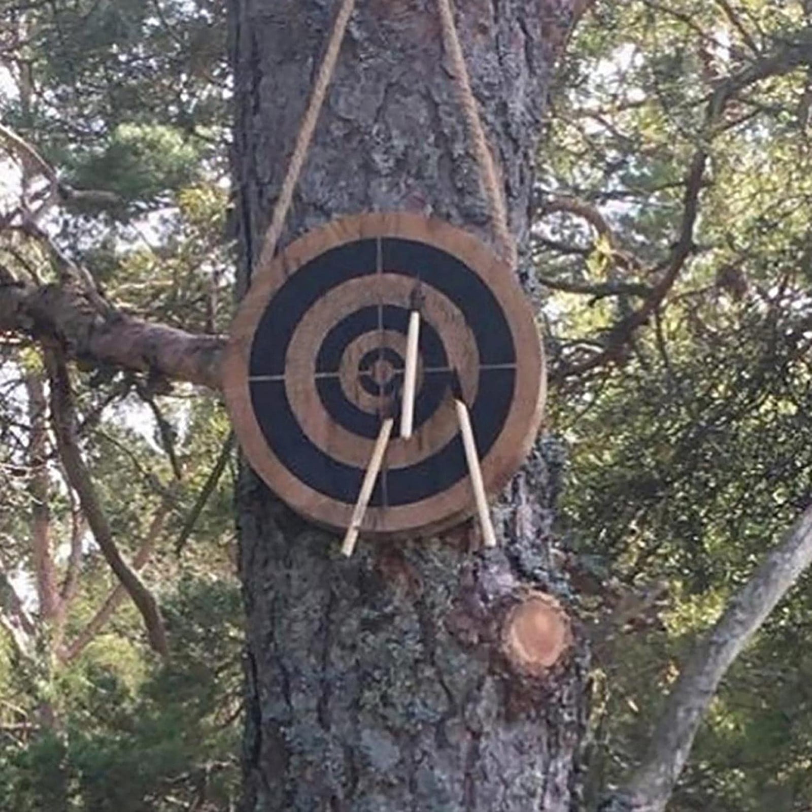 Axe Throwing Game for Backyard with Throwing Set with Target Board ...